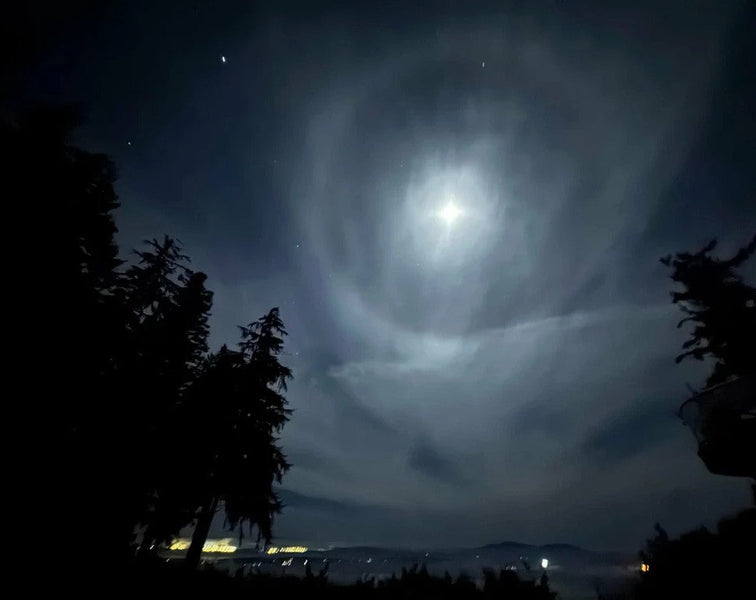 Custom Wallpaper - Custom Order 2026-01-05 09:37:57 — Vivawalls Store