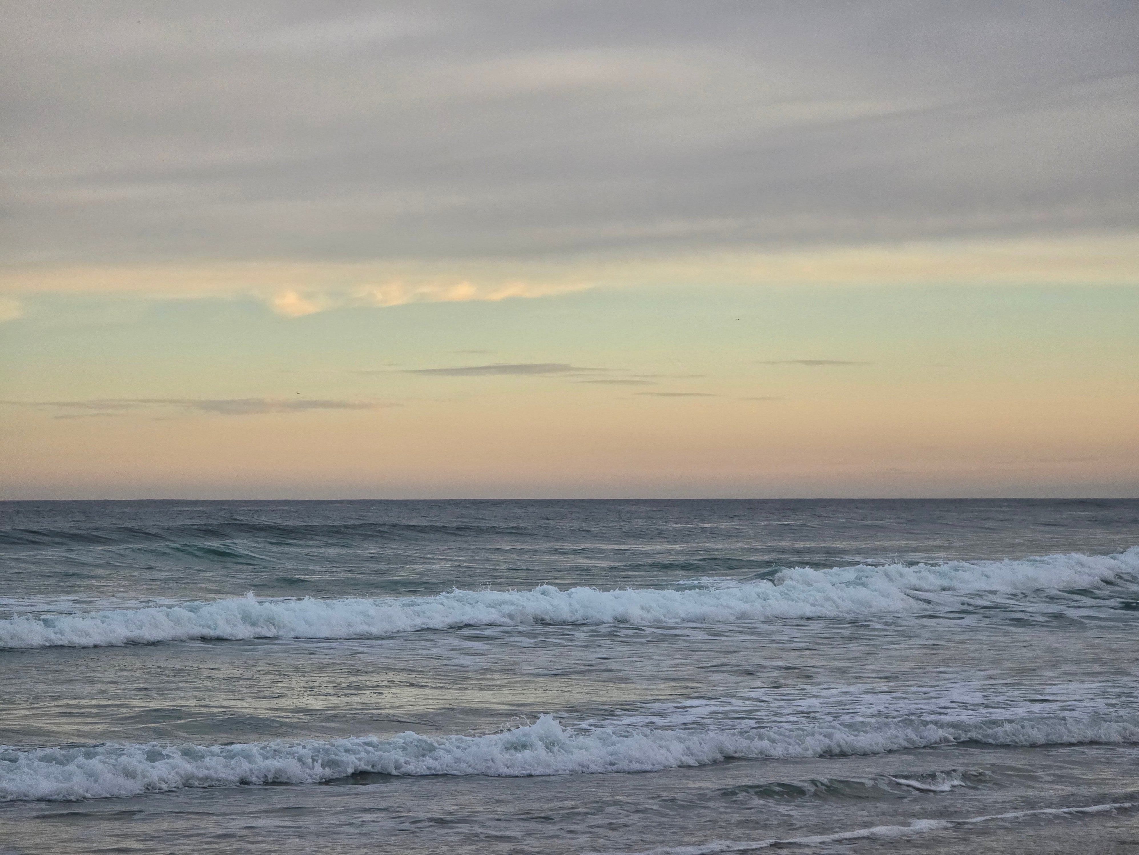 Custom Wallpaper - Custom Order 2026-01-18 13:55:02 — Vivawalls Store