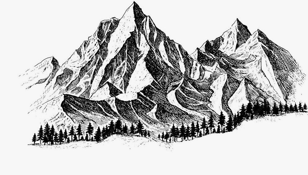 Custom Wallpaper - Custom Order 2026-01-17 13:13:03 — Vivawalls Store