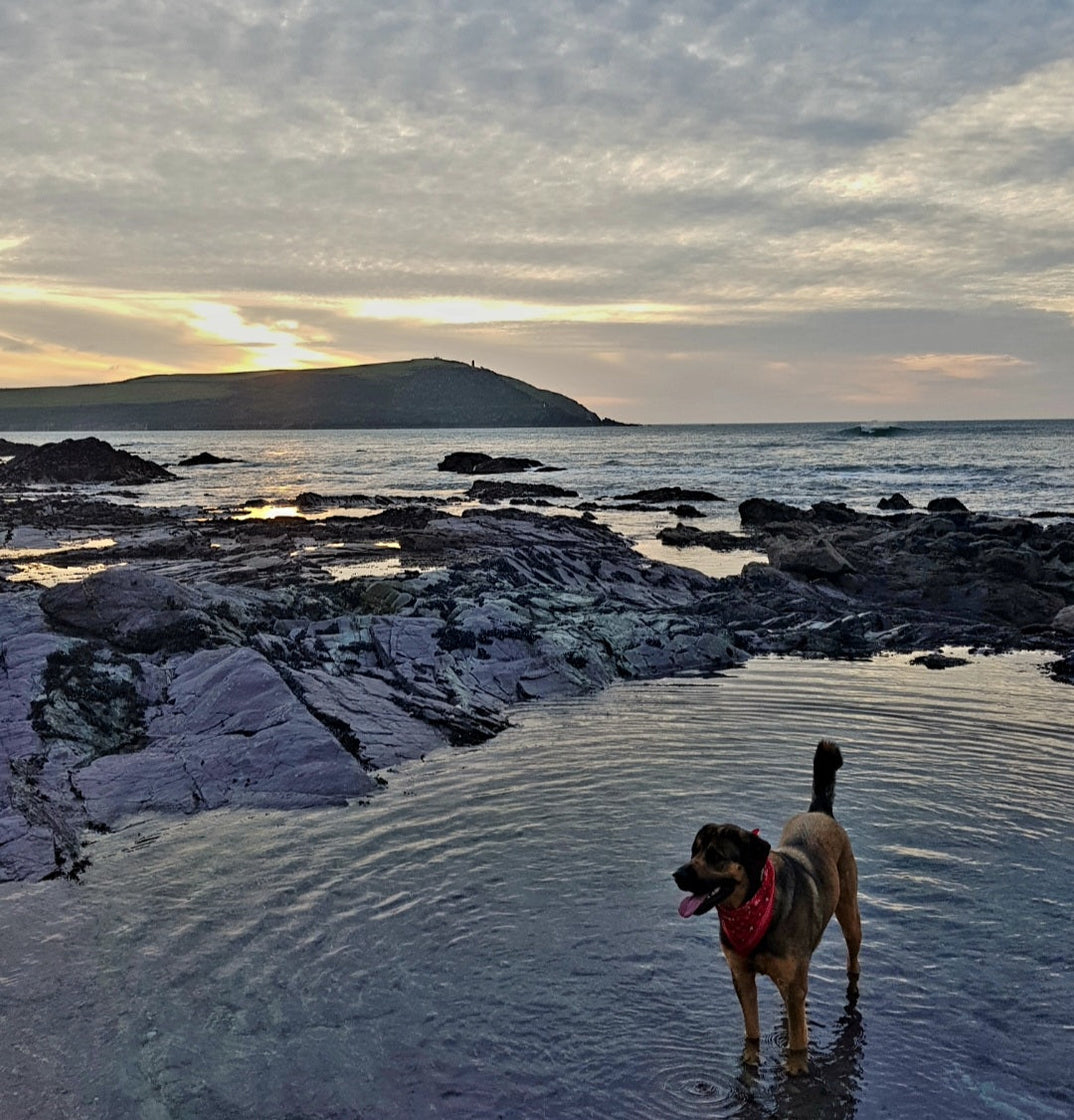 Custom Wallpaper - Custom Order 2025-12-28 19:08:16 — Vivawalls Store