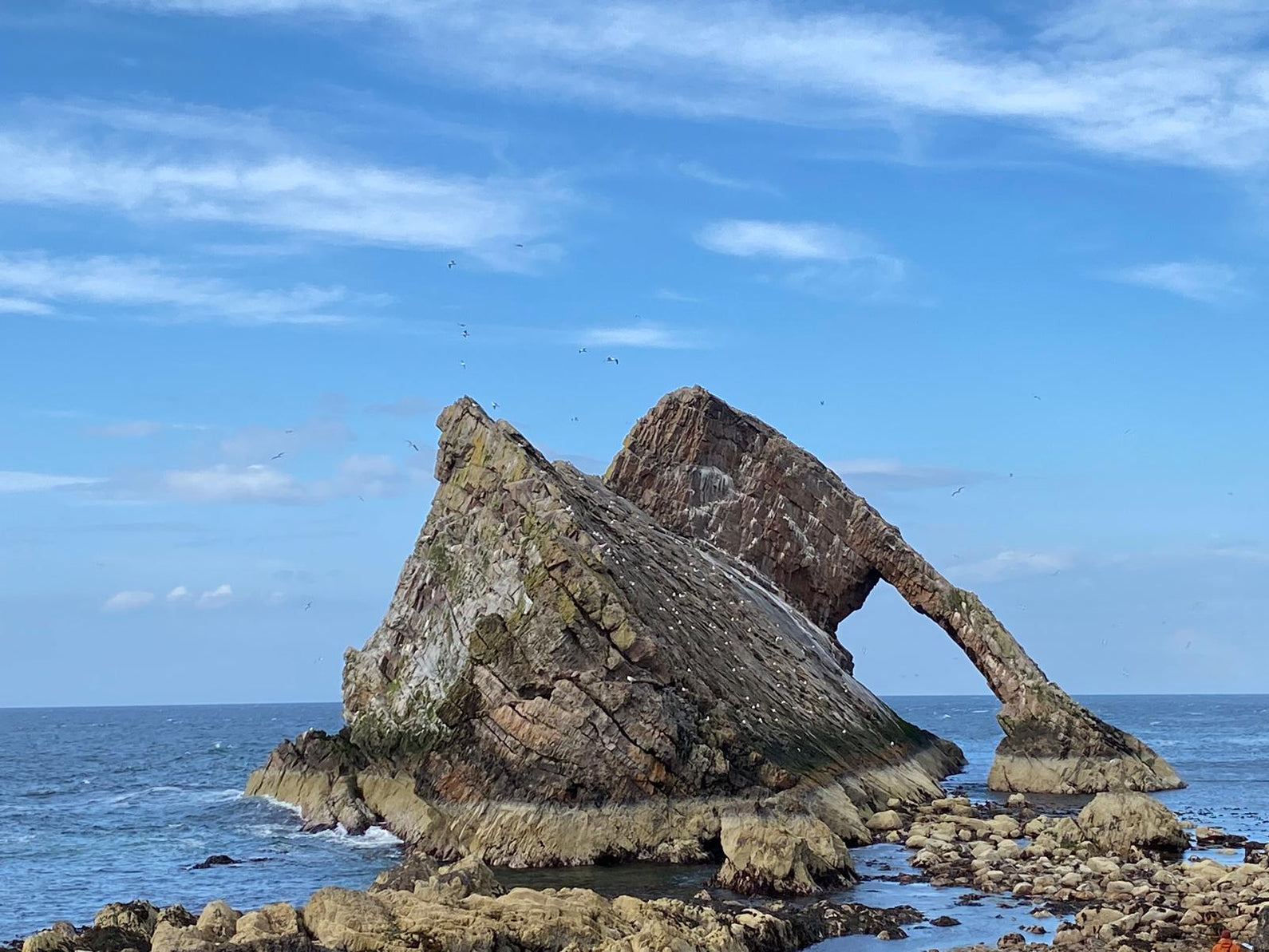 Custom Wallpaper - Custom Order 2026-01-17 14:56:17 — Vivawalls Store